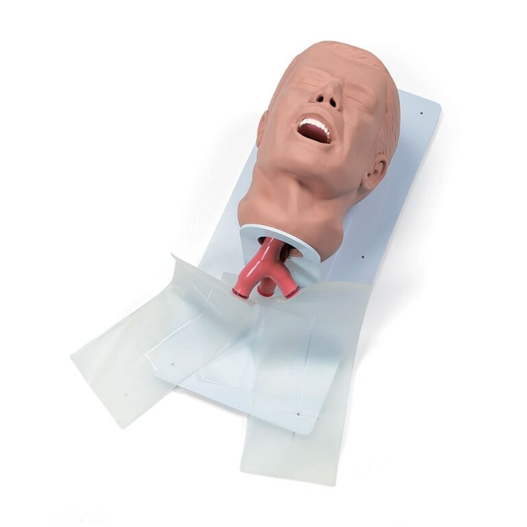 Simulaids® Economy Adult Airway Management Trainer - Nation Wide Health CPR